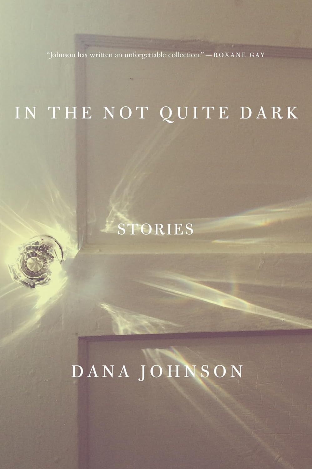 In the Not Quite Dark: Stories: Johnson, Dana: 9781619027329: Amazon ...