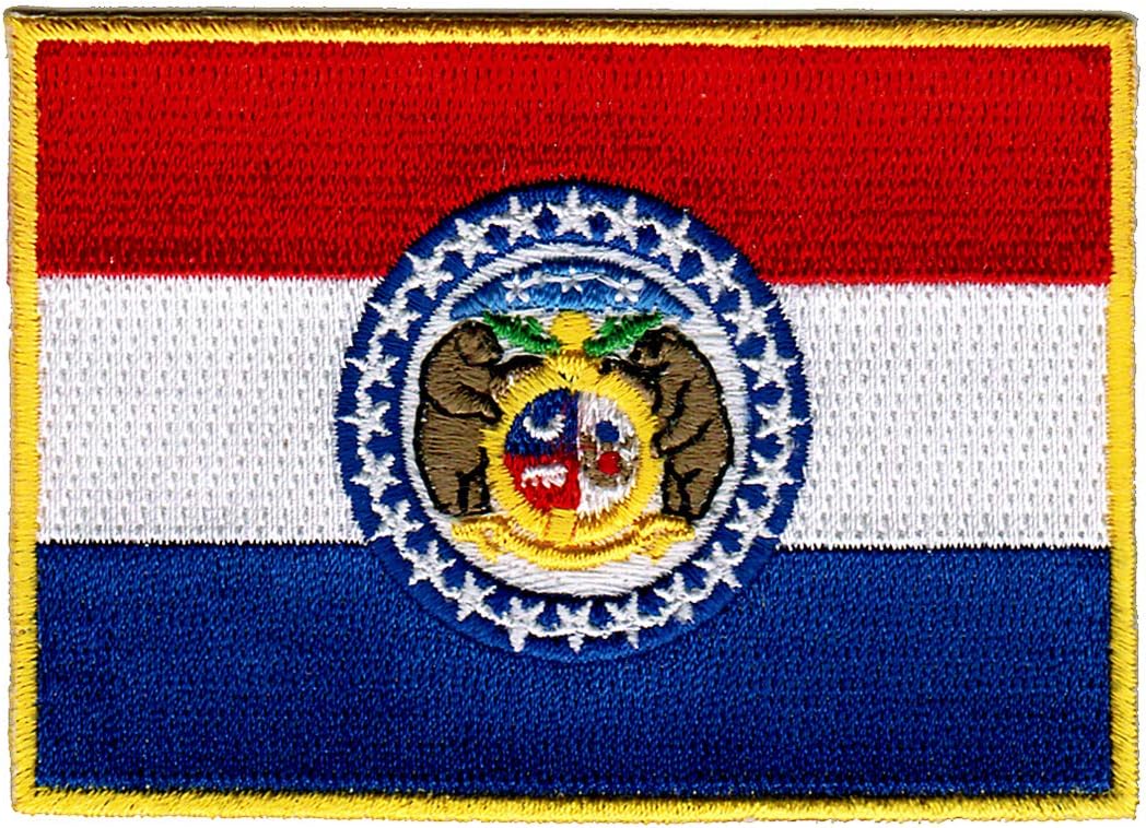 Amazon.com: New Mexico State Flag Embroidered Patch Iron-On NM Emblem ...