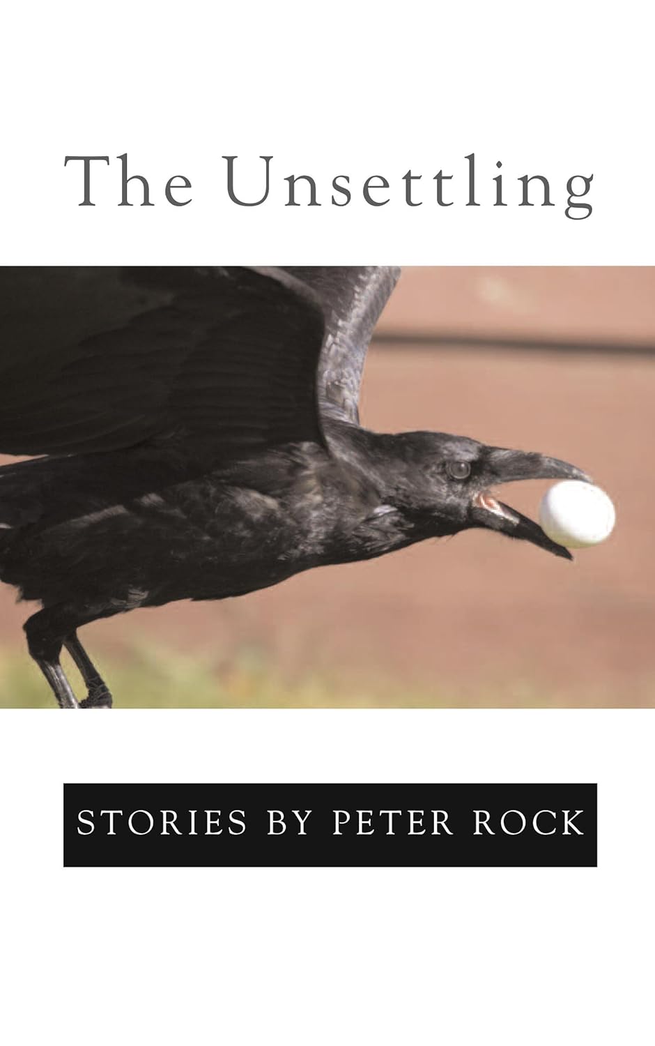The Unsettling: Rock, Peter: 9781596922143: Amazon.com: Books