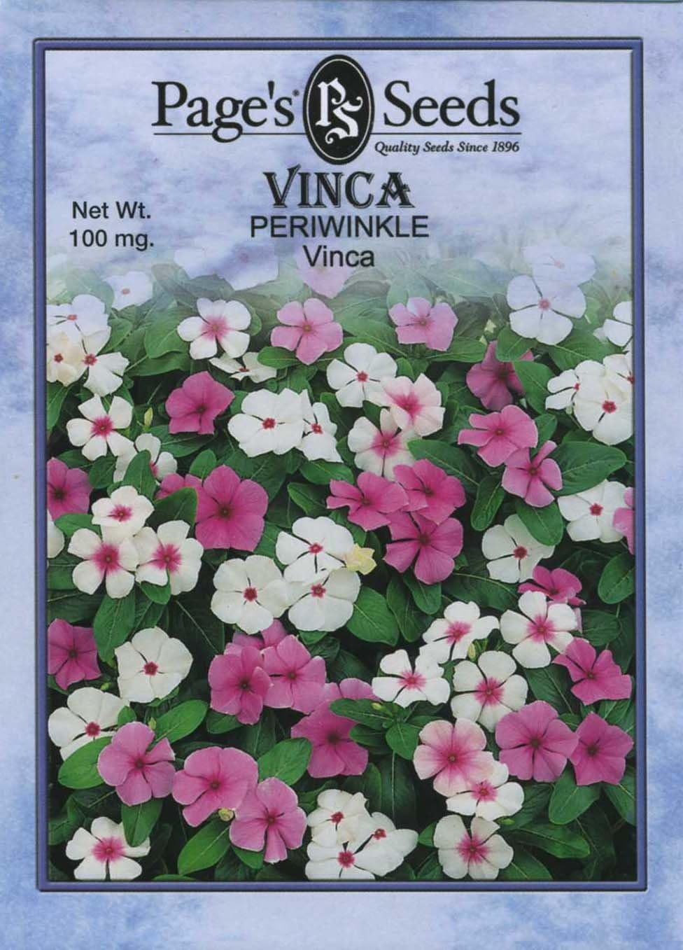 Page's Seed P893 Vinca, Periwinkle Mix Seed Packet : Amazon.co.uk: Garden