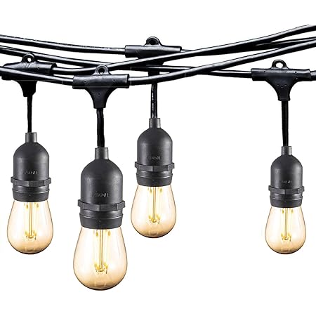 Ashialight 12 Volt Outdoor String Lights with Transformer - Low Voltage ...