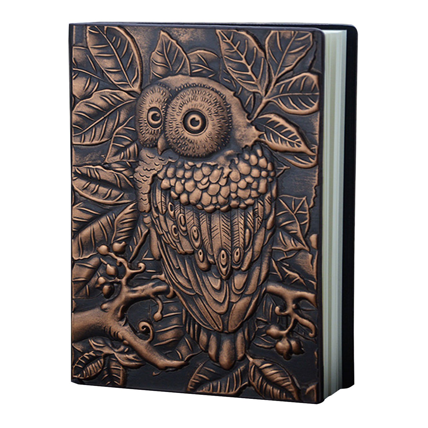 Amazon.com : Van Caro A5 Vintage Embossed Owl Leather Journal Notebook ...