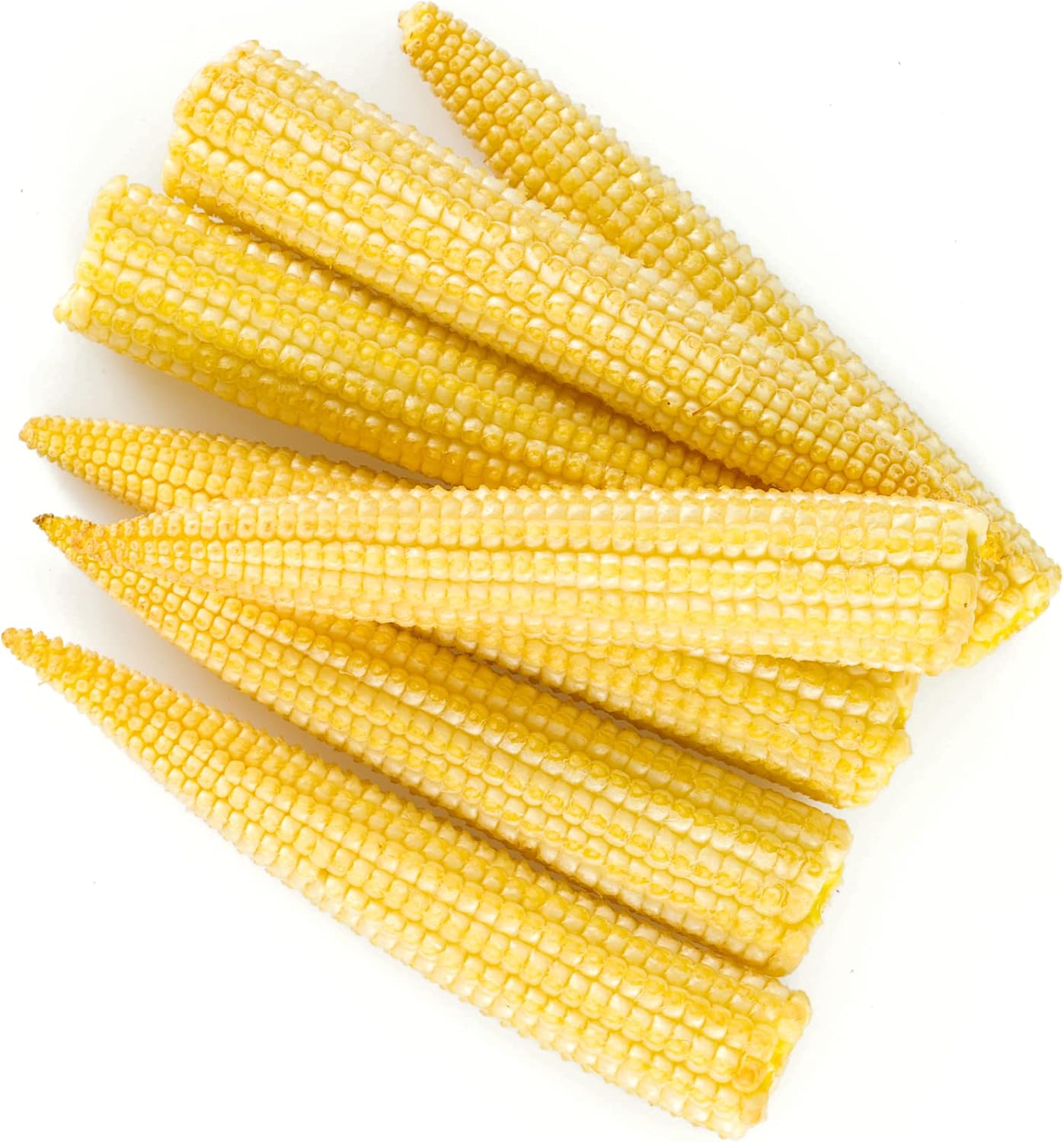 Sweetcorn Plants, 'Minipop', 16 x Full Plant Pack, Baby Sweetcorn ...