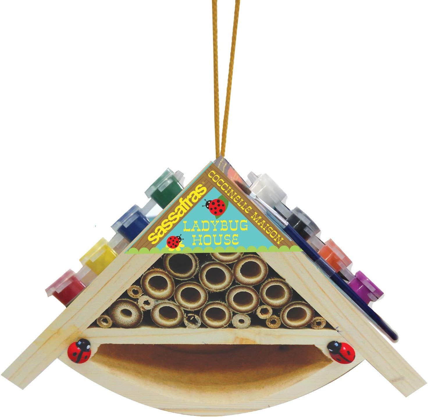 Amazon.com: Sassafras Paint Your Own- Ladybug House : Toys & Games