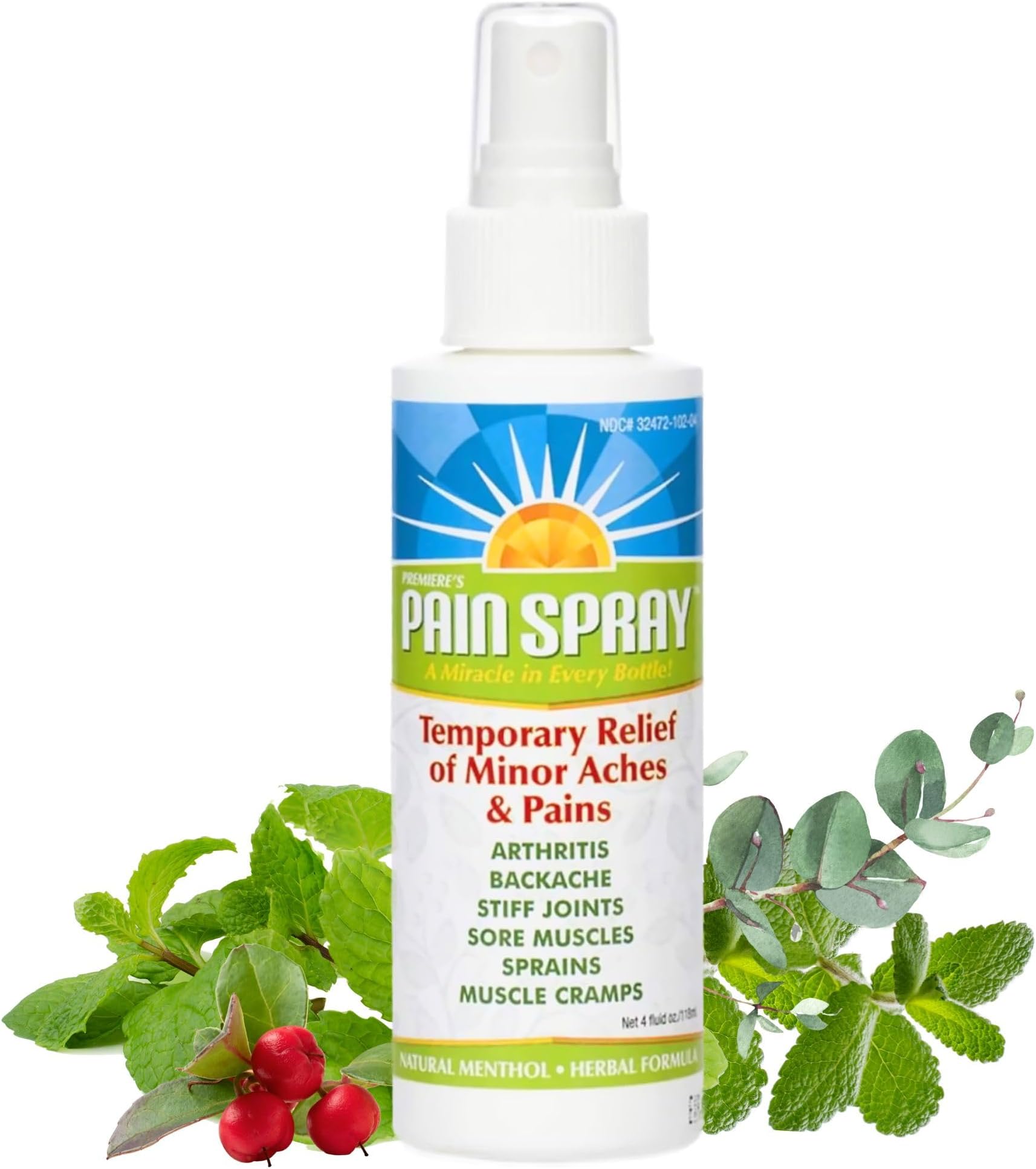 Amazon.com: Premiere's Pain Spray All-Natural Menthol & Peppermint Oil ...