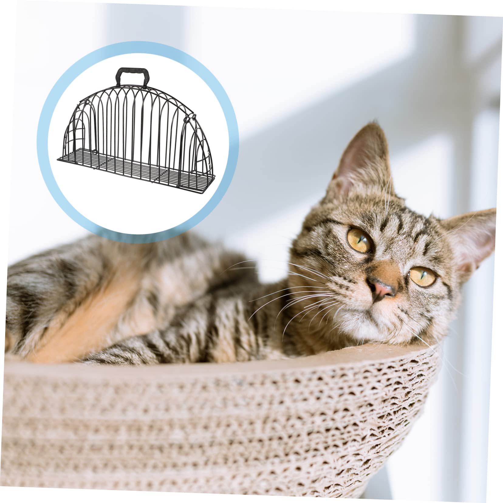 Small Animal Bath Holder Cat Bathing Cage - Metal Mesh Shower Cage For ...