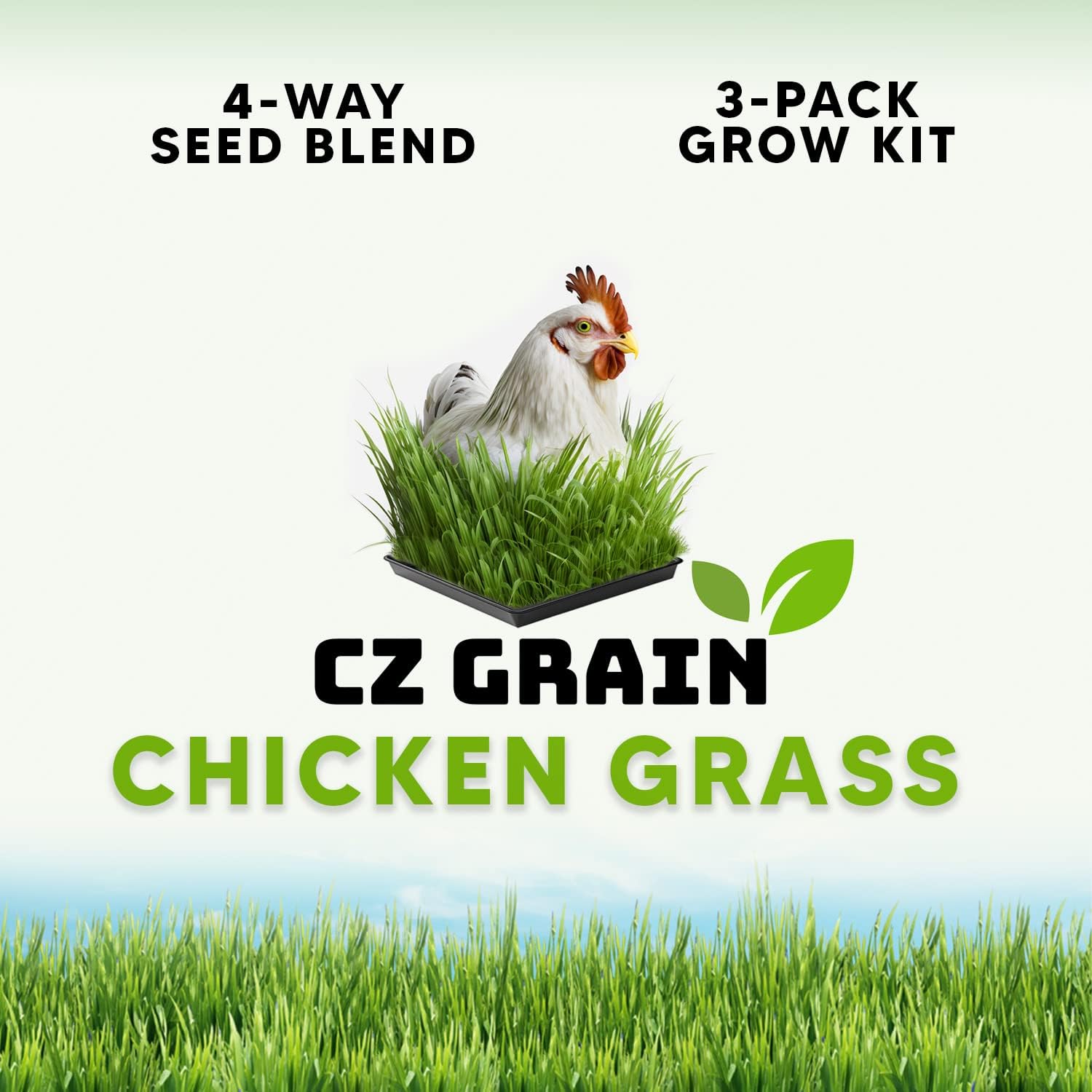 Amazon.com : Chicken Grass Grow Kit - Grow Fresh Sprouts That Chickens ...