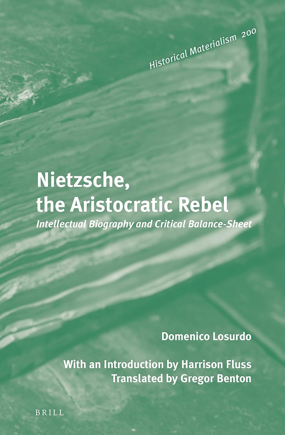 Nietzsche, the Aristocratic Rebel (Historical Materialism Book, 200 ...