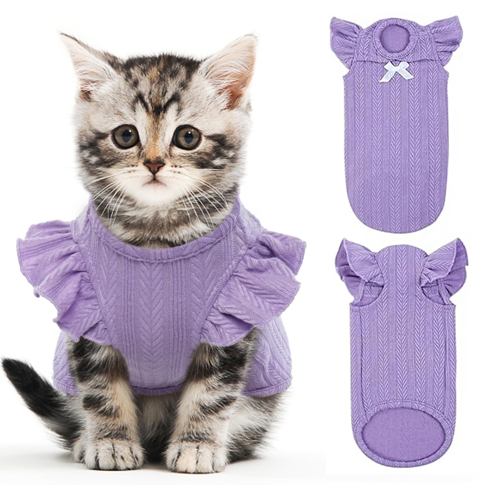 Camisetas De Bandas Para Gatos Camisetas Gato Envío Gratis
