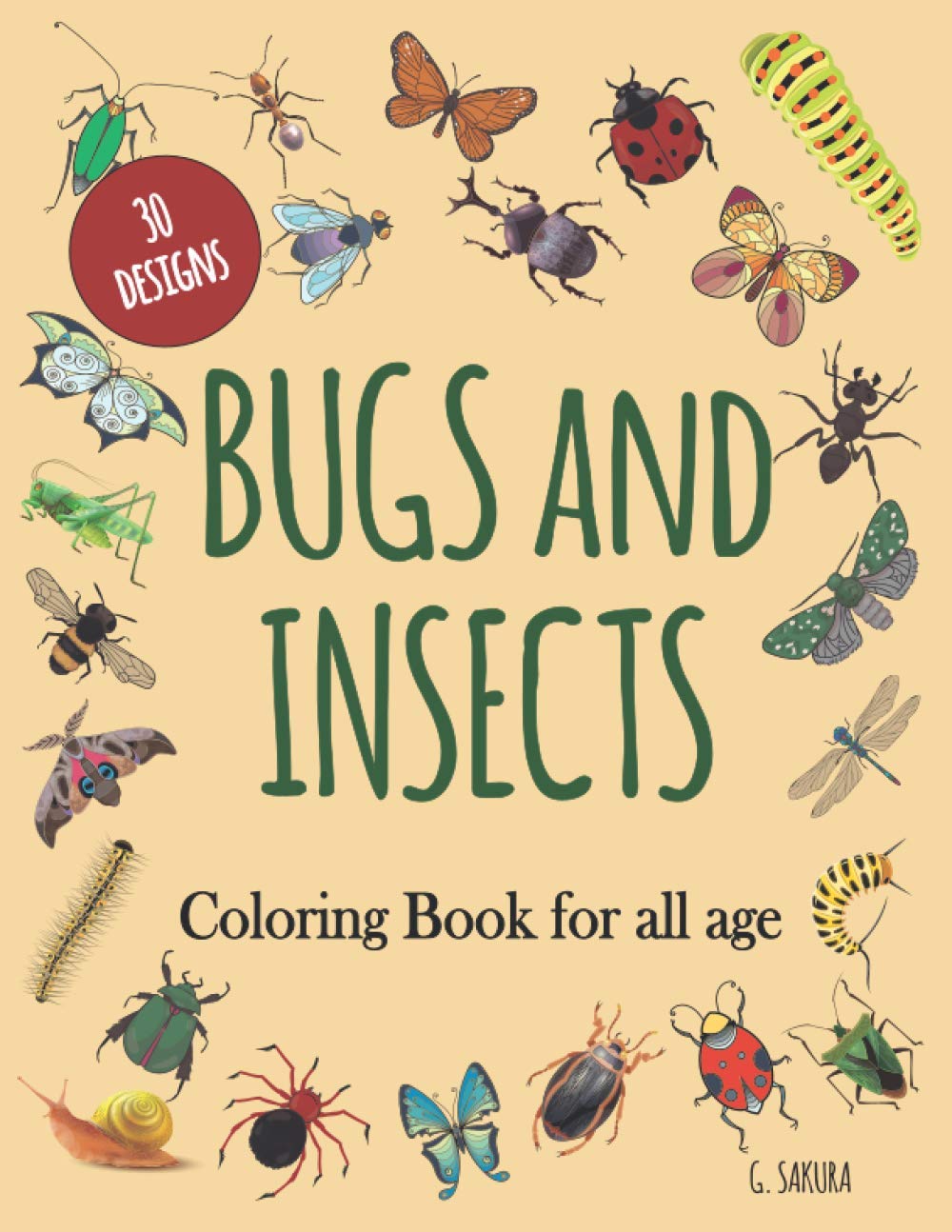 Cricket Coloring Pages Insects