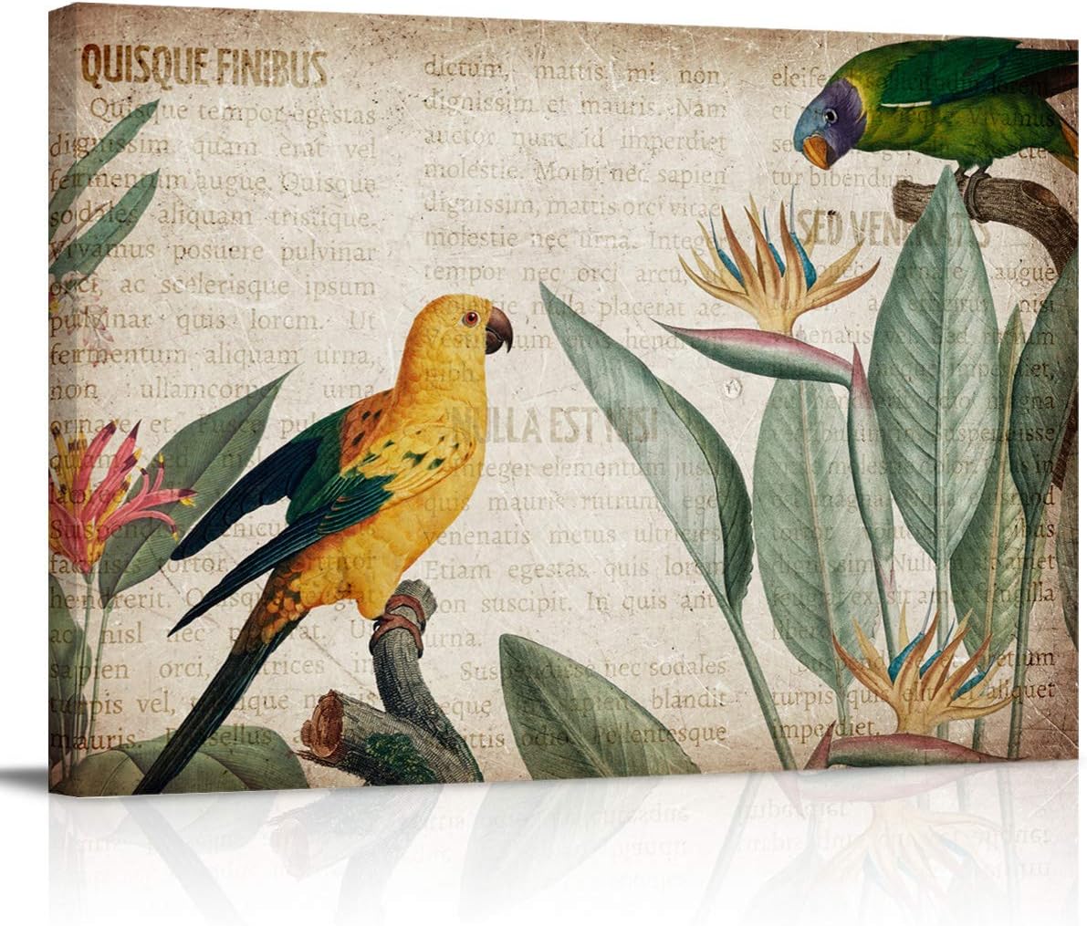 Amazon.com: Yun Nist Canvas Wall Art Oil Painting Parrot Tropical ...