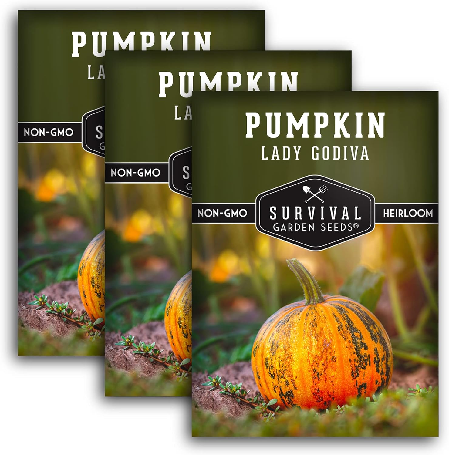 Amazon.com : Lady Godiva Pumpkin Seeds for Planting – Hulless Styrian ...
