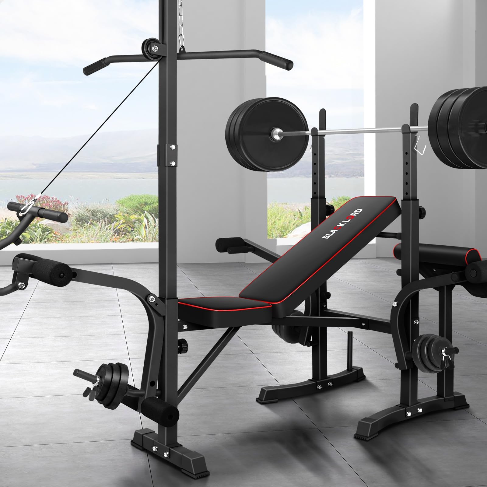 BLACK LORD Weight Bench 14-in-1 Home Gym Fitness Abdominal Strength ...
