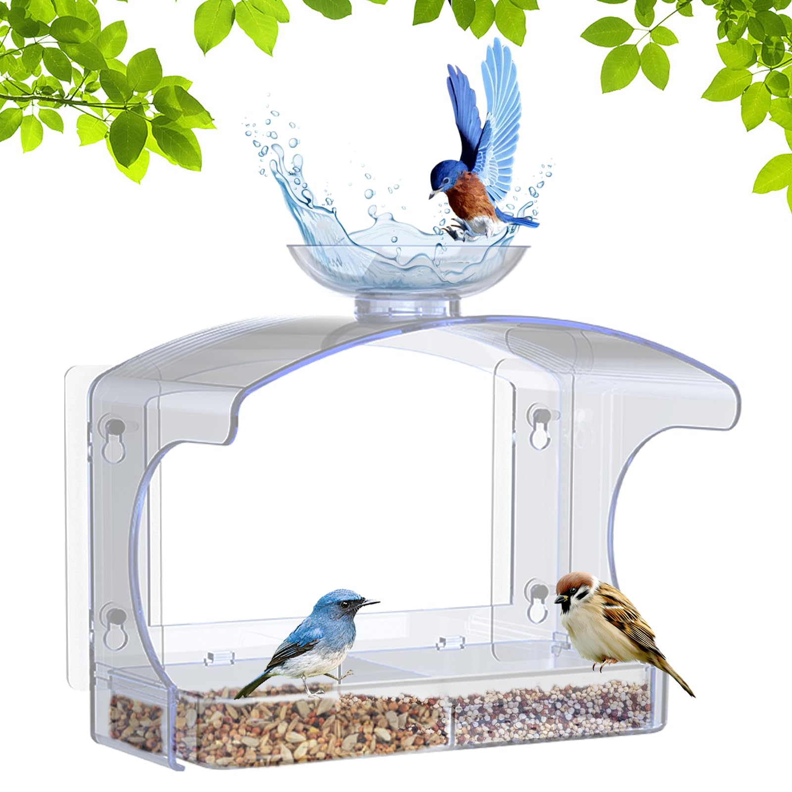 Amazon.com : Clear Window Bird Feeder for Outdoors:Transparent Bird ...