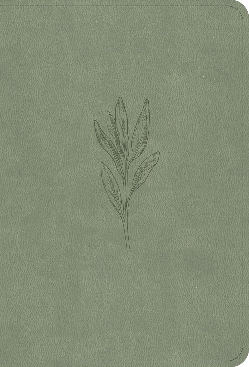 NASB Large Print Compact Reference Bible, Sage SuedeSoft LeatherTouch ...