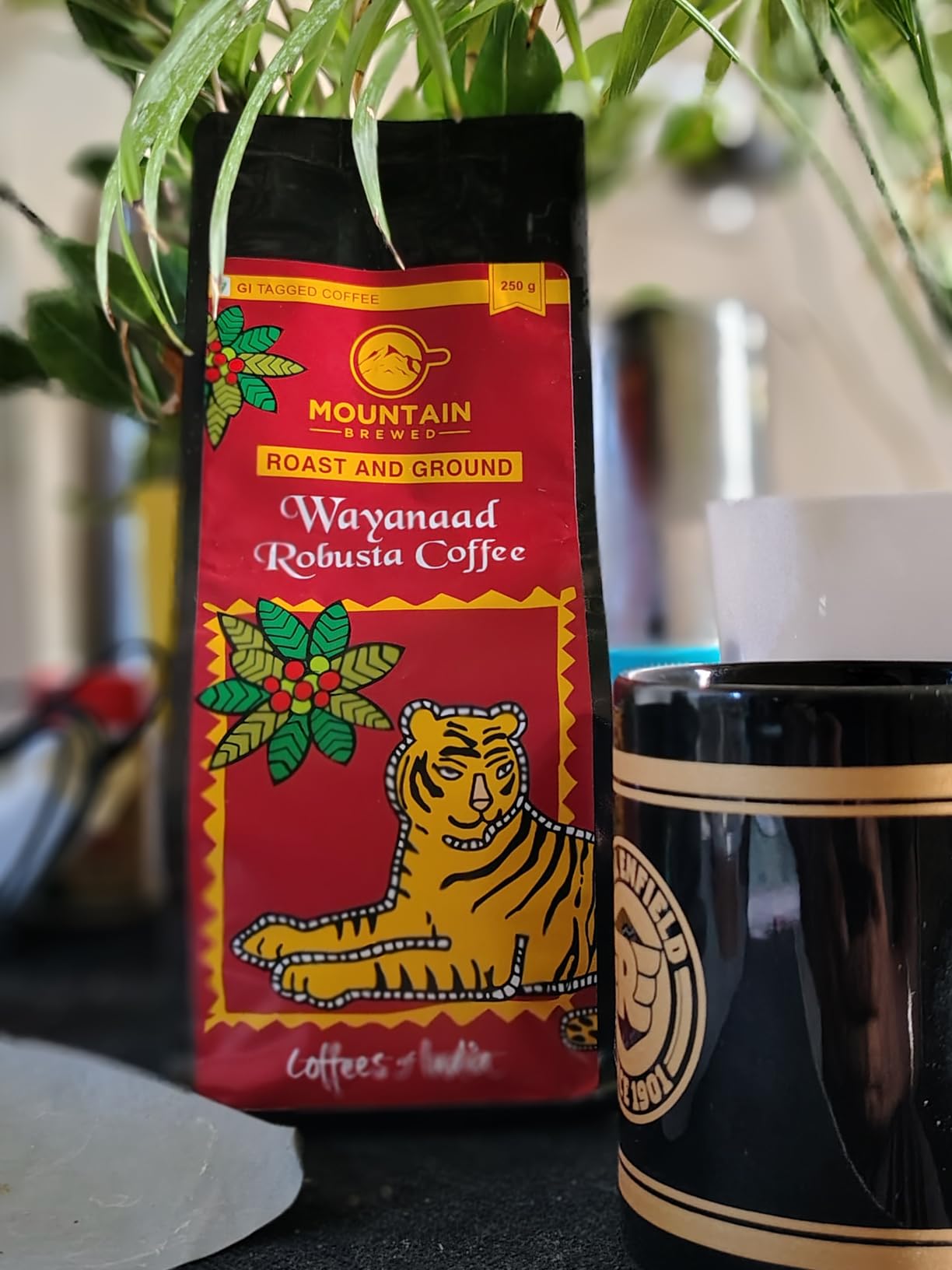 MOUNTAIN BREWED Wayanad Robusta GI Tagged Coffee Roast & Ground Medium ...