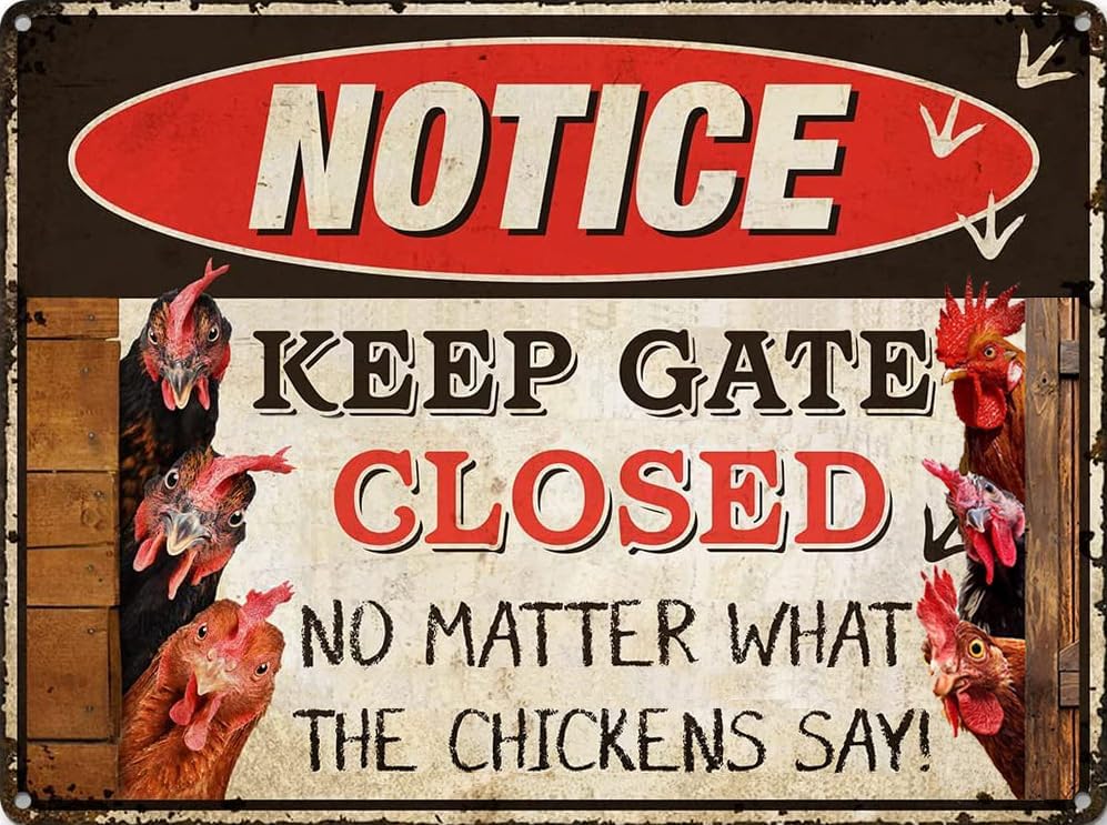 Amazon.com : Aestalrcus Metal Signs Chicken Signs for Funny Coop Decor ...