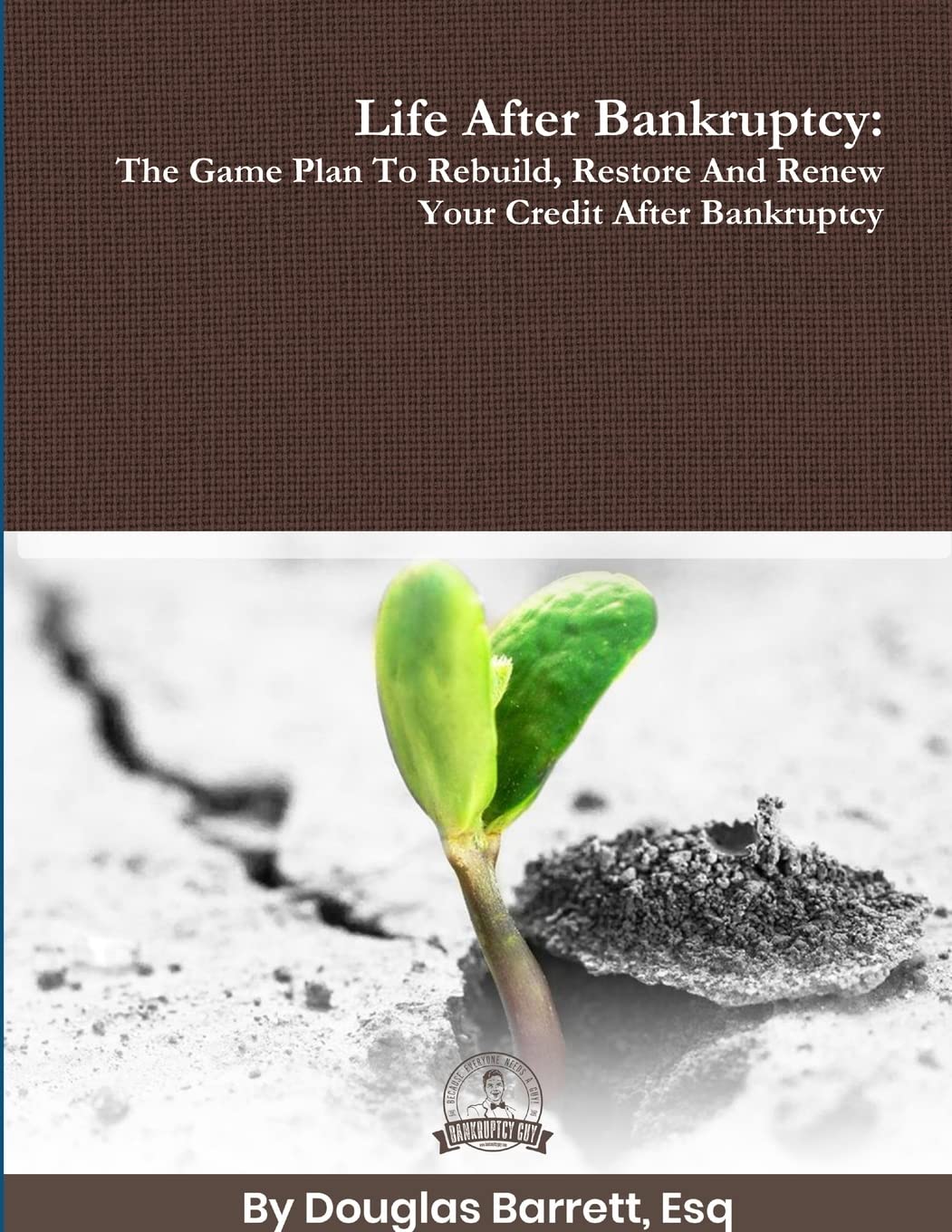 Life After Bankruptcy: The Game Plan To Rebuild, Restore And Renew Your ...