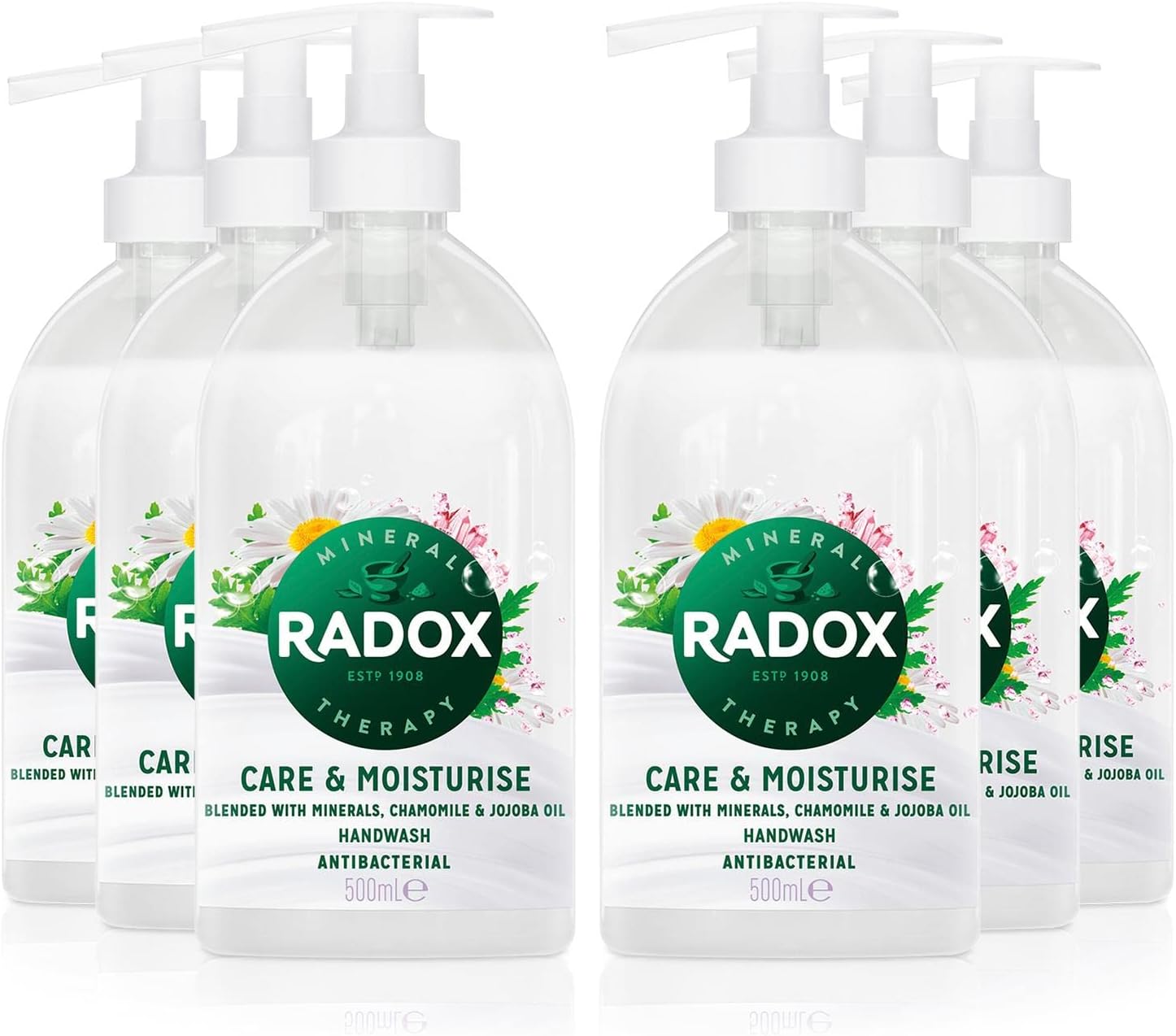 Radox Moisturising Antibacterial Handwash 500ml Pack of 6 : Amazon.co ...