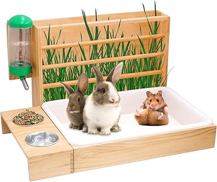 Amazon.com : Rabbit Hay Feeder with Litter Box, 4 in 1 Wooden Bunny Hay ...