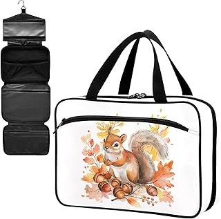Helping An Injured Squirrel: Immediate Steps And Care Tips | PetShun