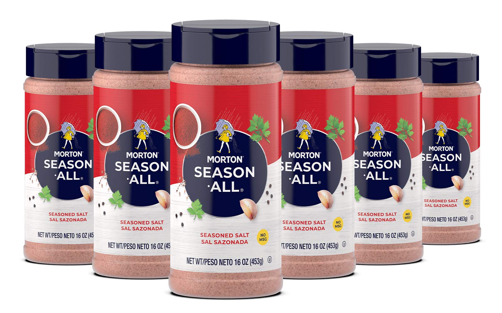 Snapklik.com : Morton Salt Season-All Seasoned Salt, 16 Ounce