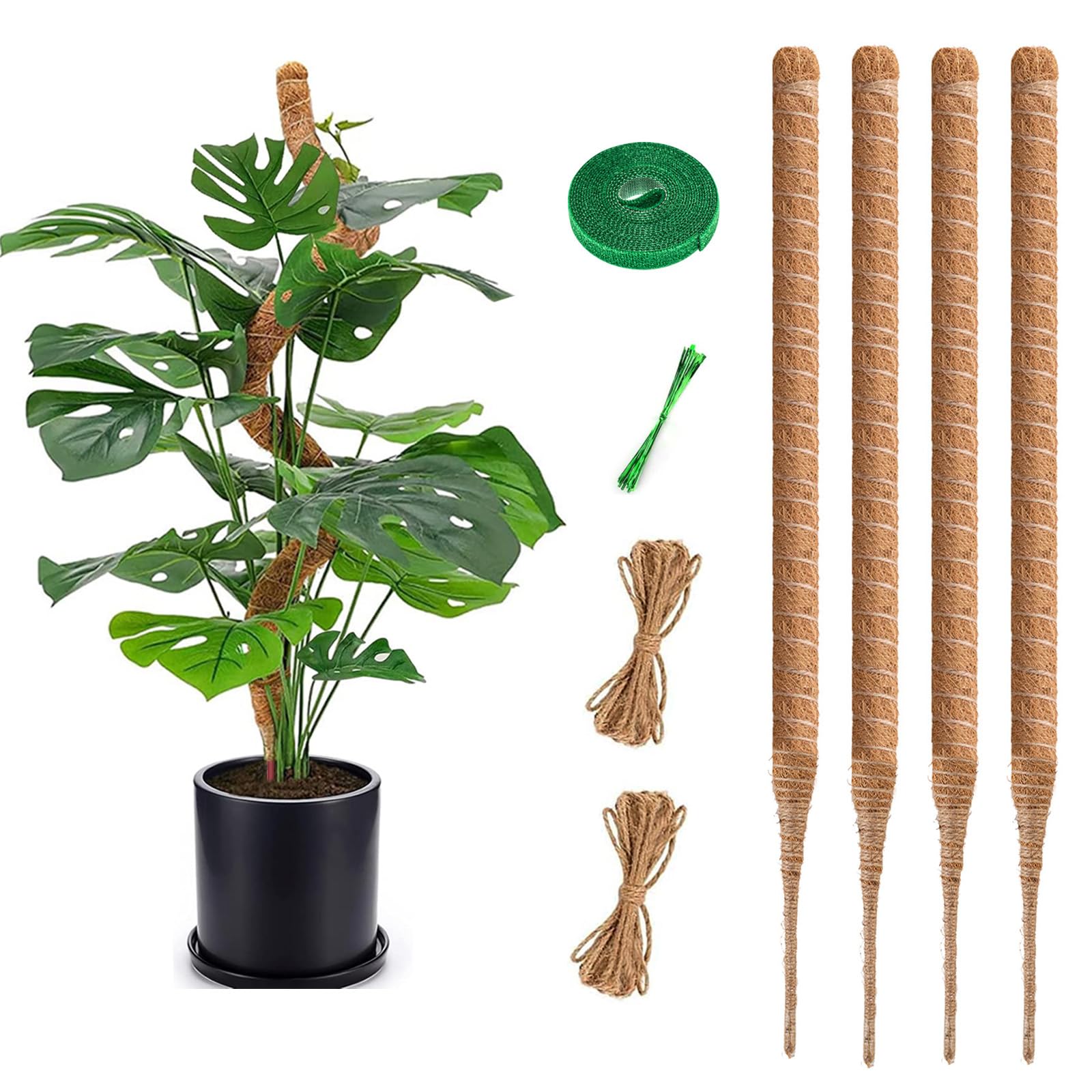 RYHX 4PCS Tuteur Monstera,65cm Tuteur Coco Plante Grimpante Pliable ...