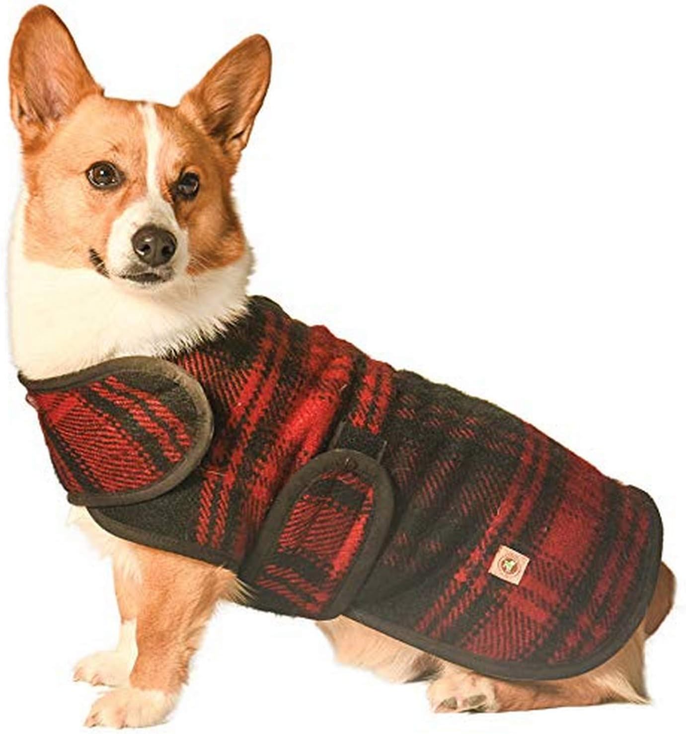 Amazon.com : Chilly Dog 300508 Dog Coats, Large : Pet Supplies