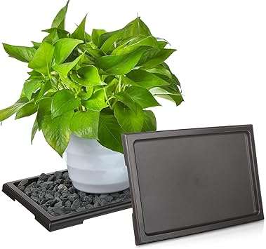 Amazon.com: 2 Pack Bonsai Humidity Tray 9 Inch Drip Tray Rectangular ...