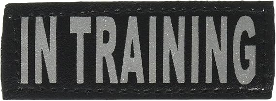 Amazon.com : Dogline Removable Patches "In Training" Tags, X-Small ...