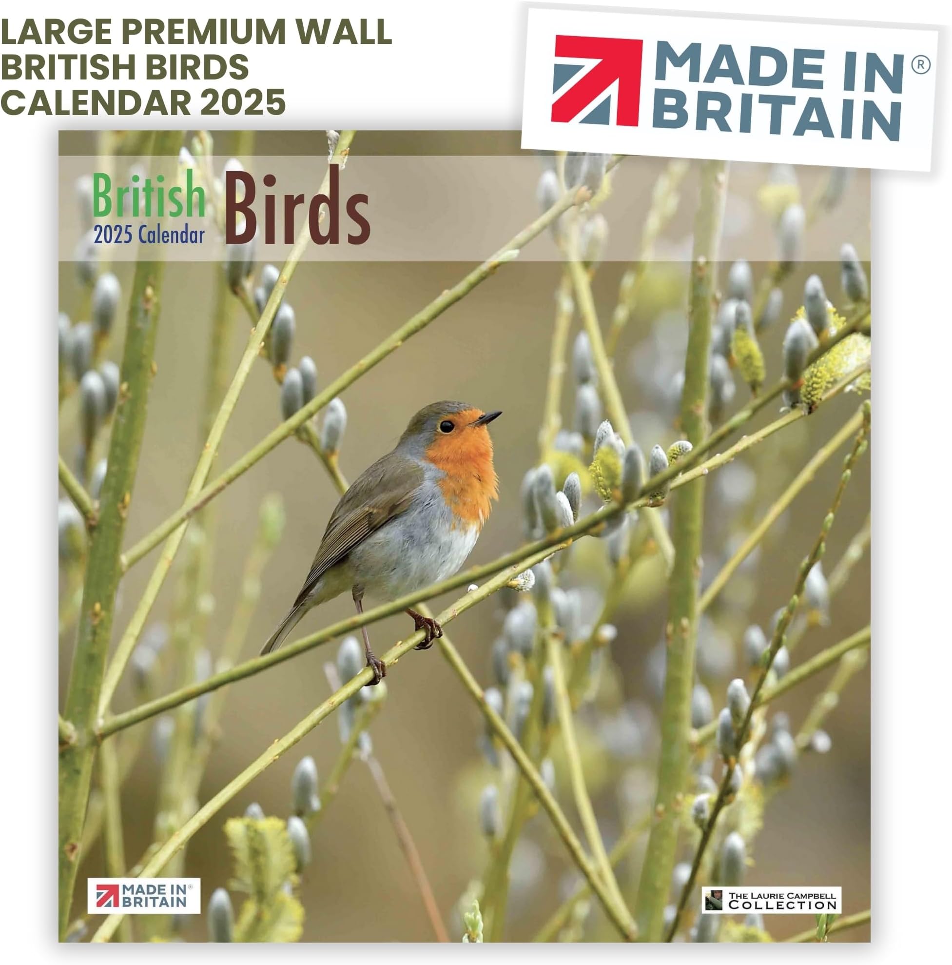 British Garden Birds Mini Wall Calendar 2025 (PFP) : Amazon.co.uk ...
