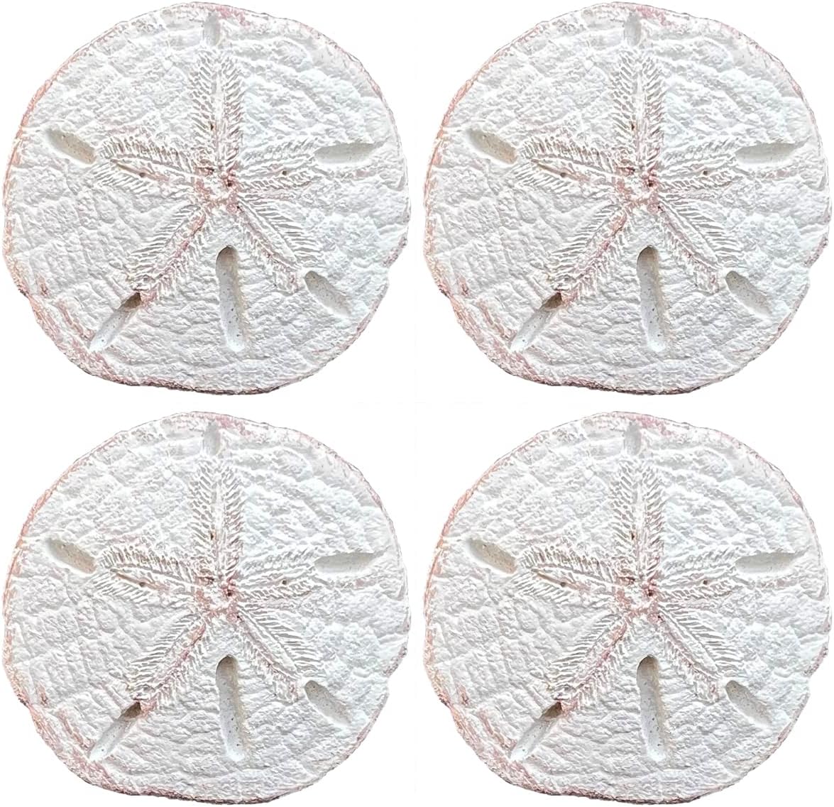 Top Brass Realistic Large Sand Dollar Drawer Pulls/Cabinet Knobs (4 ...