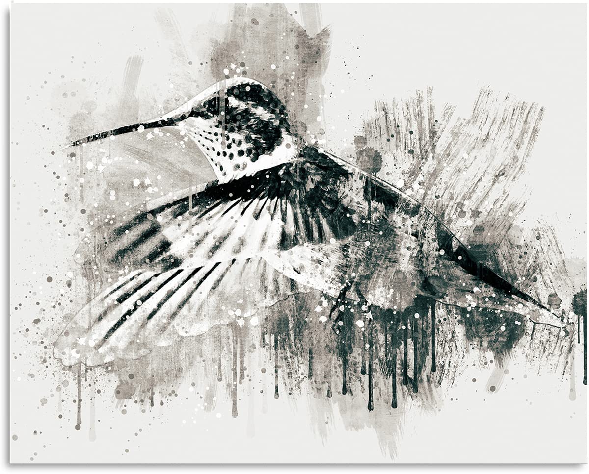 Colibrí Blanco Y Negro Resultado De Imagen De Colibríes Tatuajes