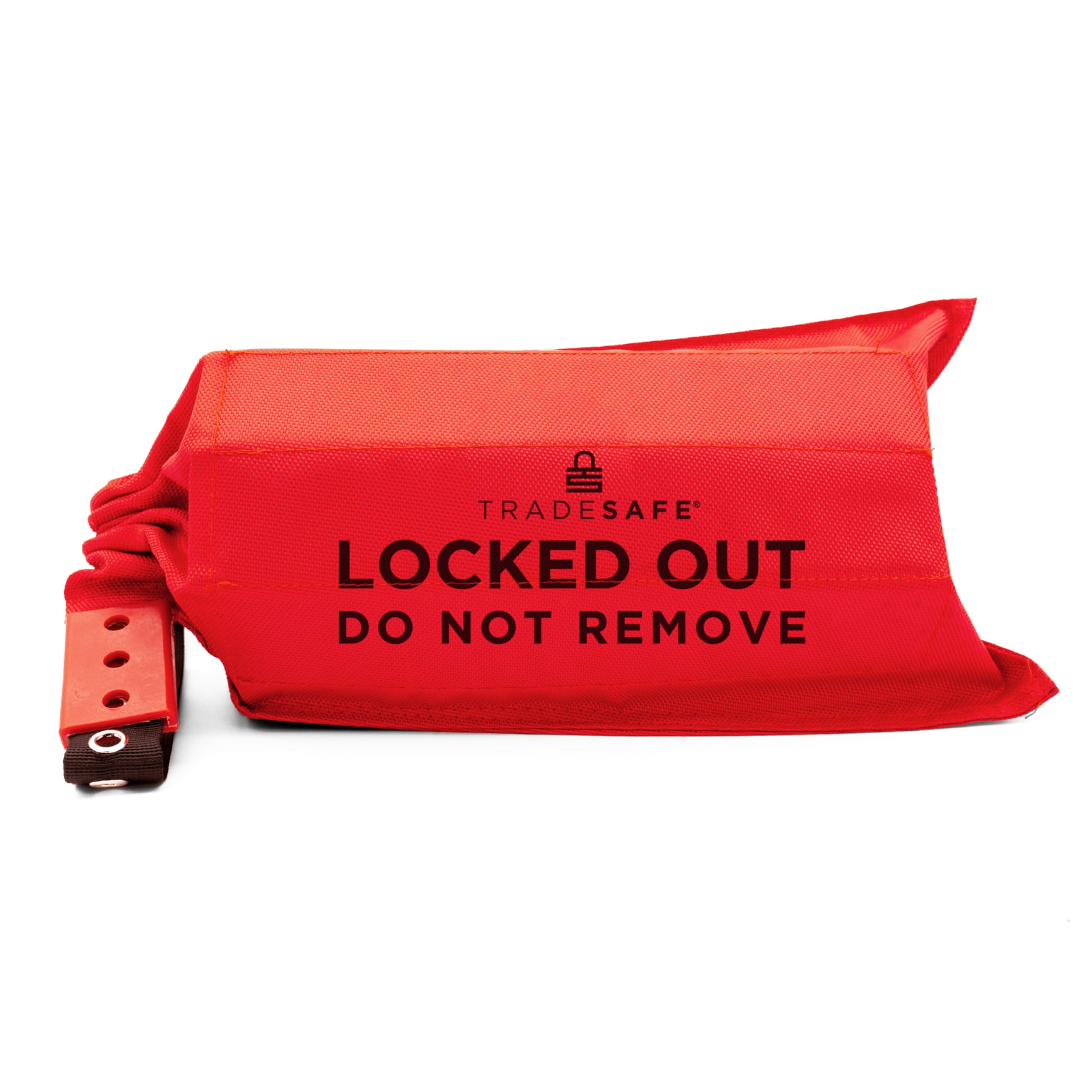 Amazon.com: TRADESAFE Lockout Tagout Oversized Plug and Hoist Control ...