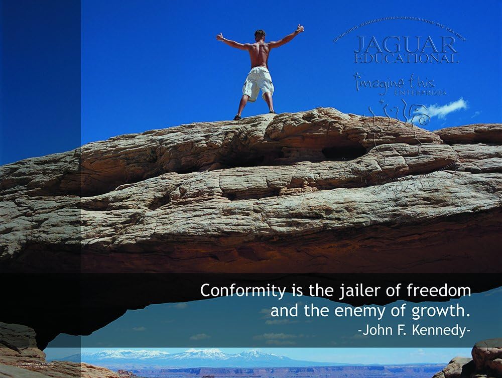 Amazon.com: Conformity and Growth Laminated Motivational Inspirational ...