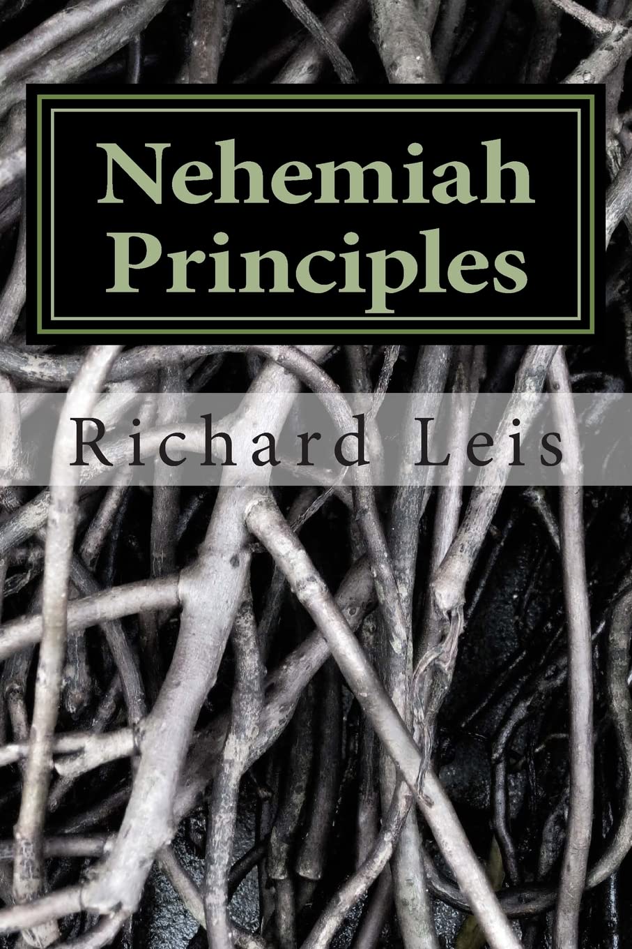 Nehemiah Principles: A study of intercessory prayer and obedience: Leis ...