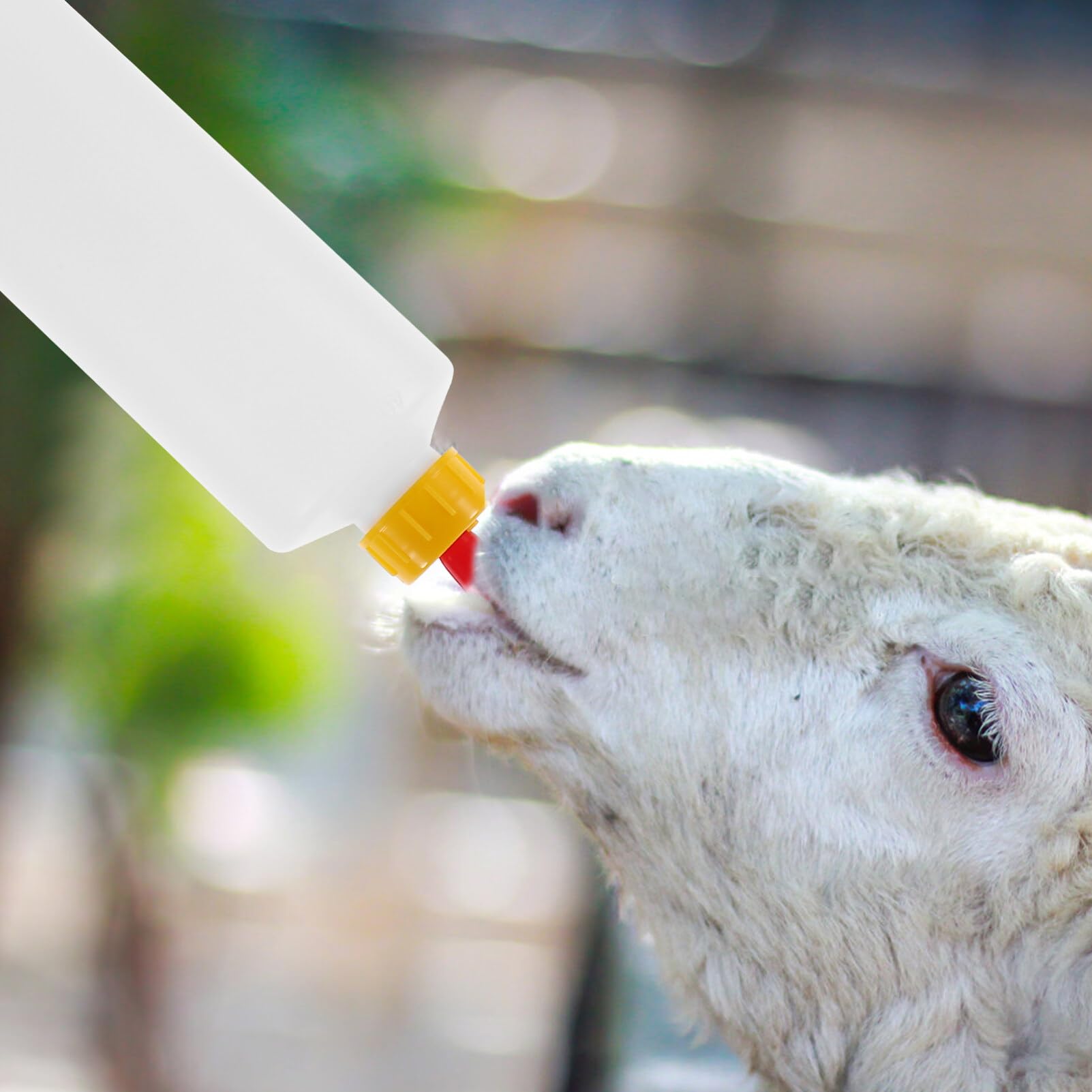 Farm Animal Feeders 5-Pack 400ml Livestock Nursing Bottles - Plastic ...