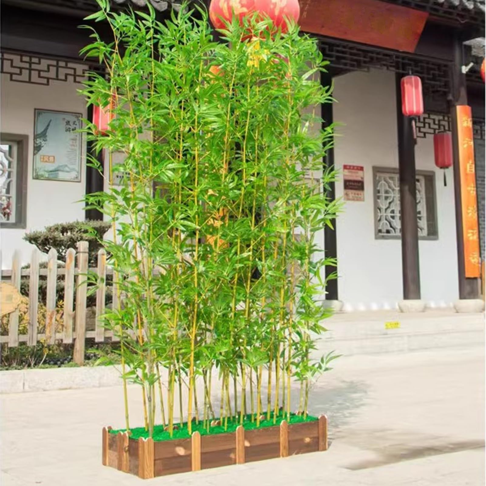Single Bamboo Plant