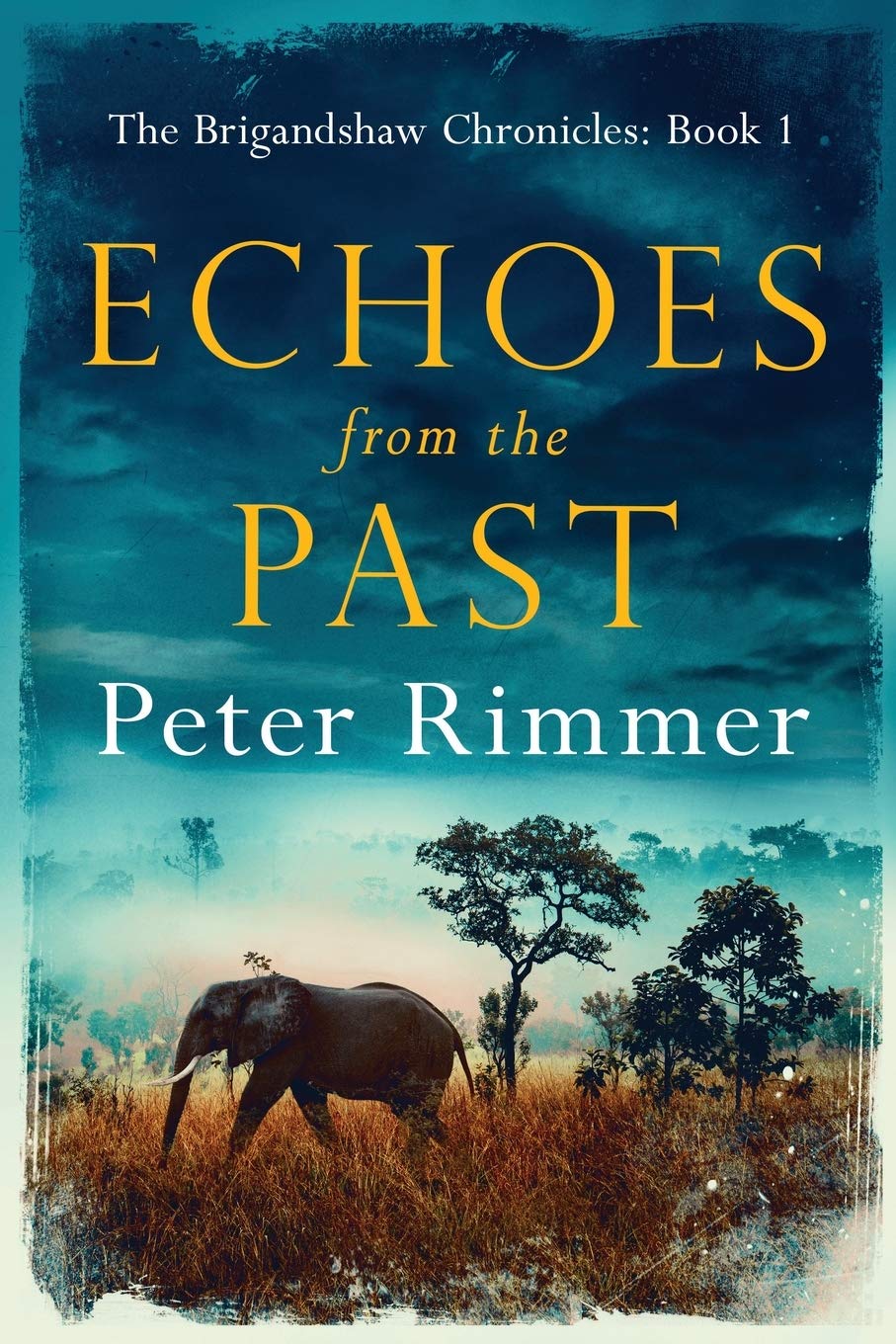 Echoes from the Past: The Brigandshaw Chronicles Book 1: Rimmer, Peter ...