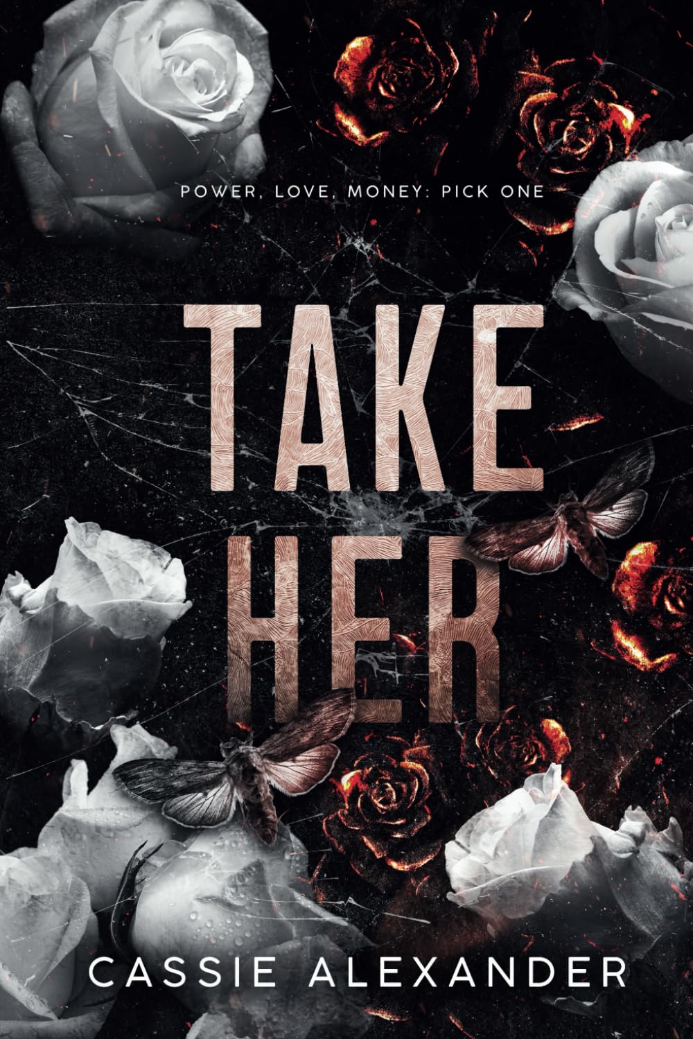 Amazon.com: Take Her: A Dark Wall Street Mafia Romance (The Moth and ...
