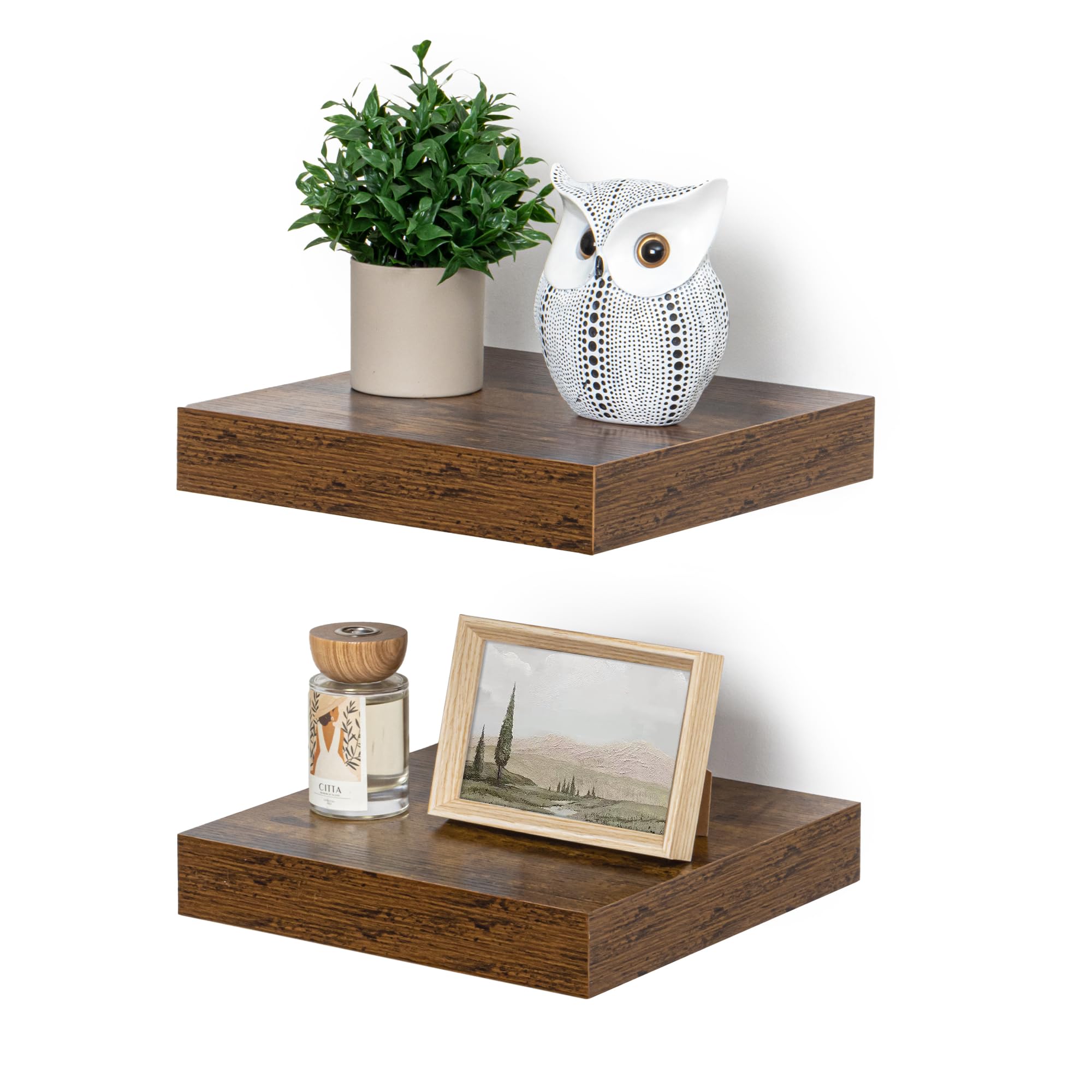 Amazon.com: Fun Memories 12 Inch Floating Shelf, Rustic Wood Wall ...