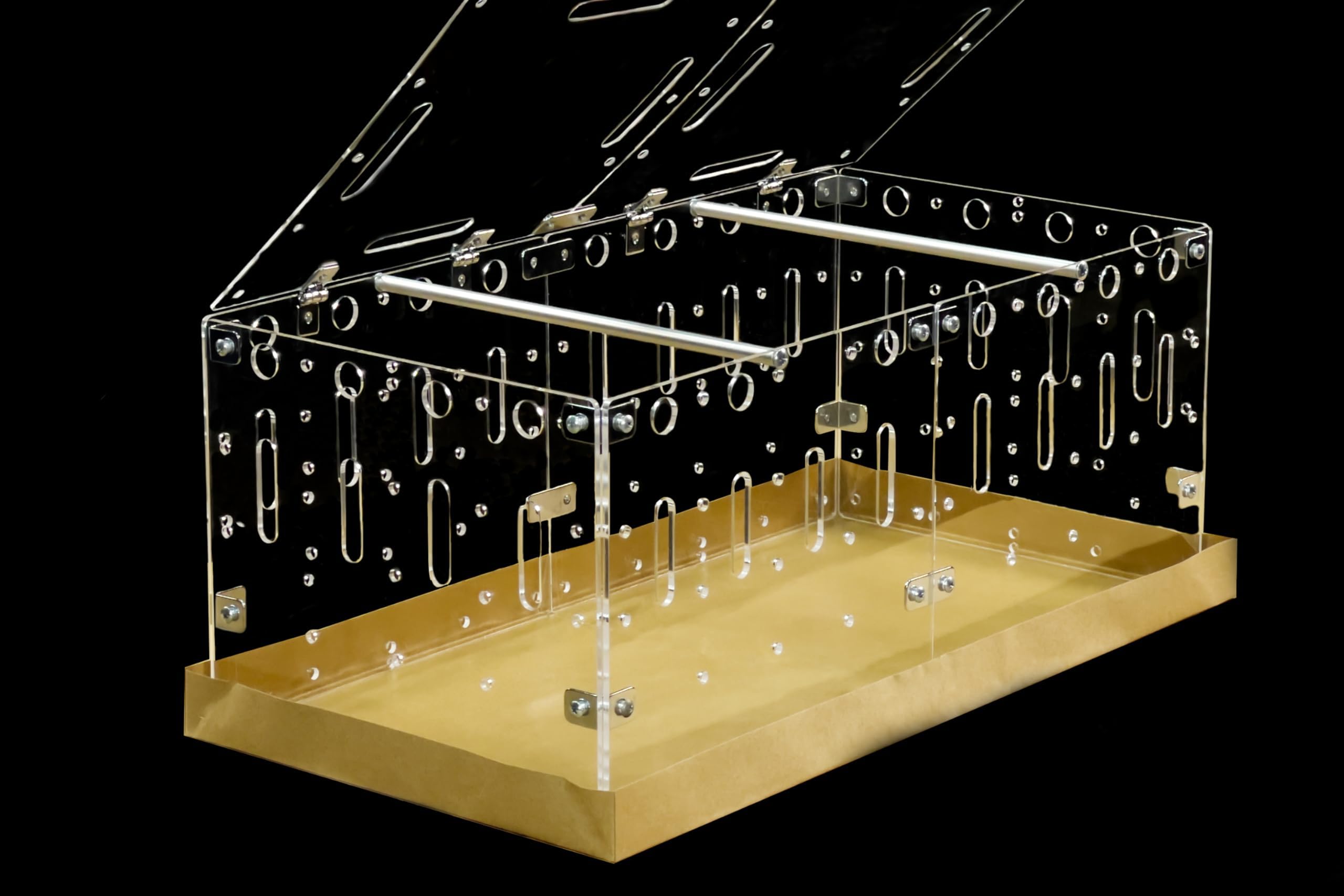 Amazon.com : GuineaLoft™ Acrylic Cage (Model-C) - Starter Cage w/Lid ...