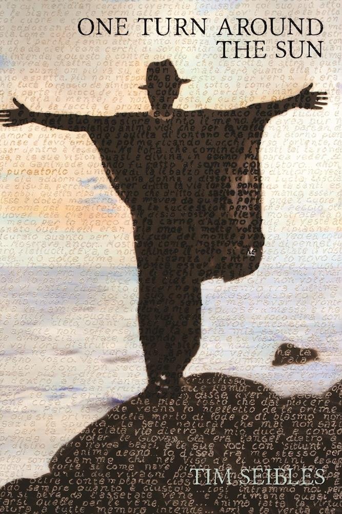 Amazon.com: One Turn Around the Sun: 9780990322184: Seibles, Tim: Books