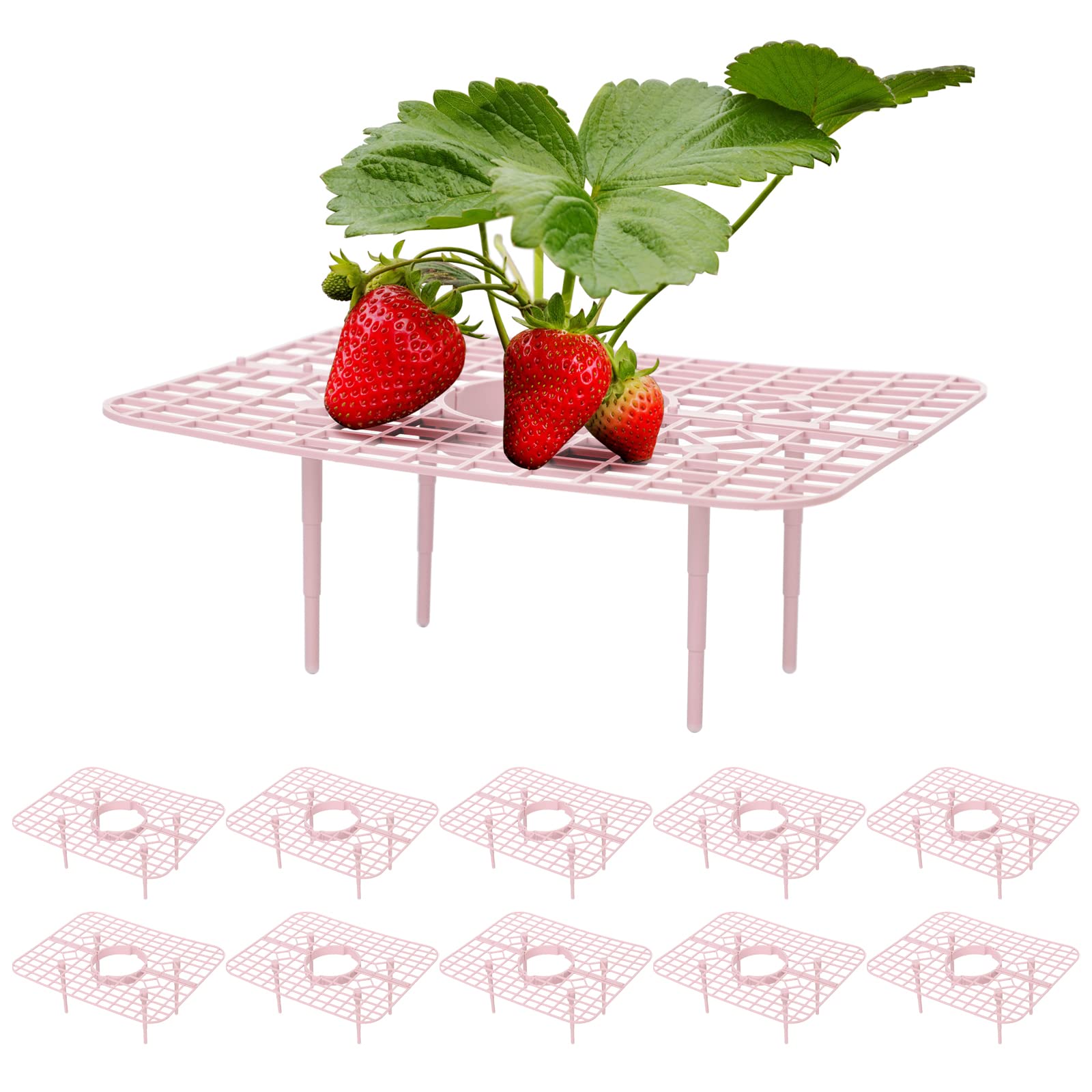 Amazon.com: Fofetbfo 10 Pack Strawberry Supports Rectangle Strawberry ...