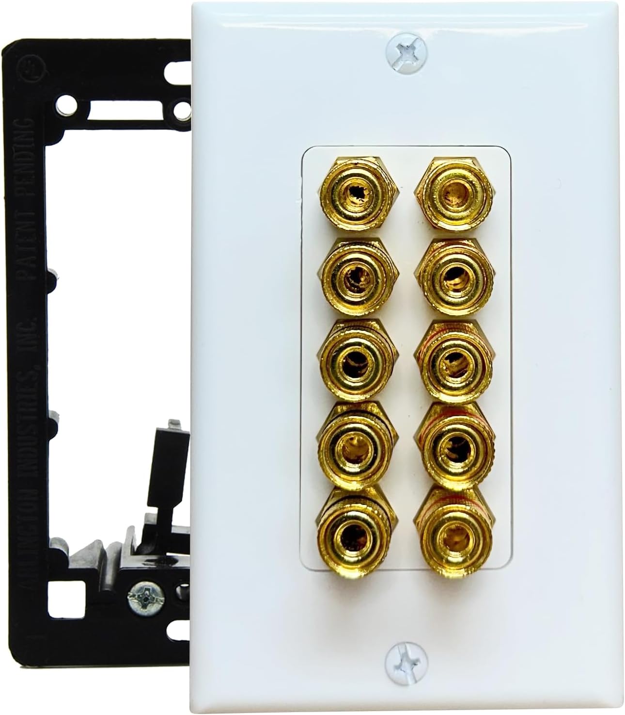 Amazon.com: DIYTECH 5 Speaker Wall Plate - Gold Plated Binding Posts ...
