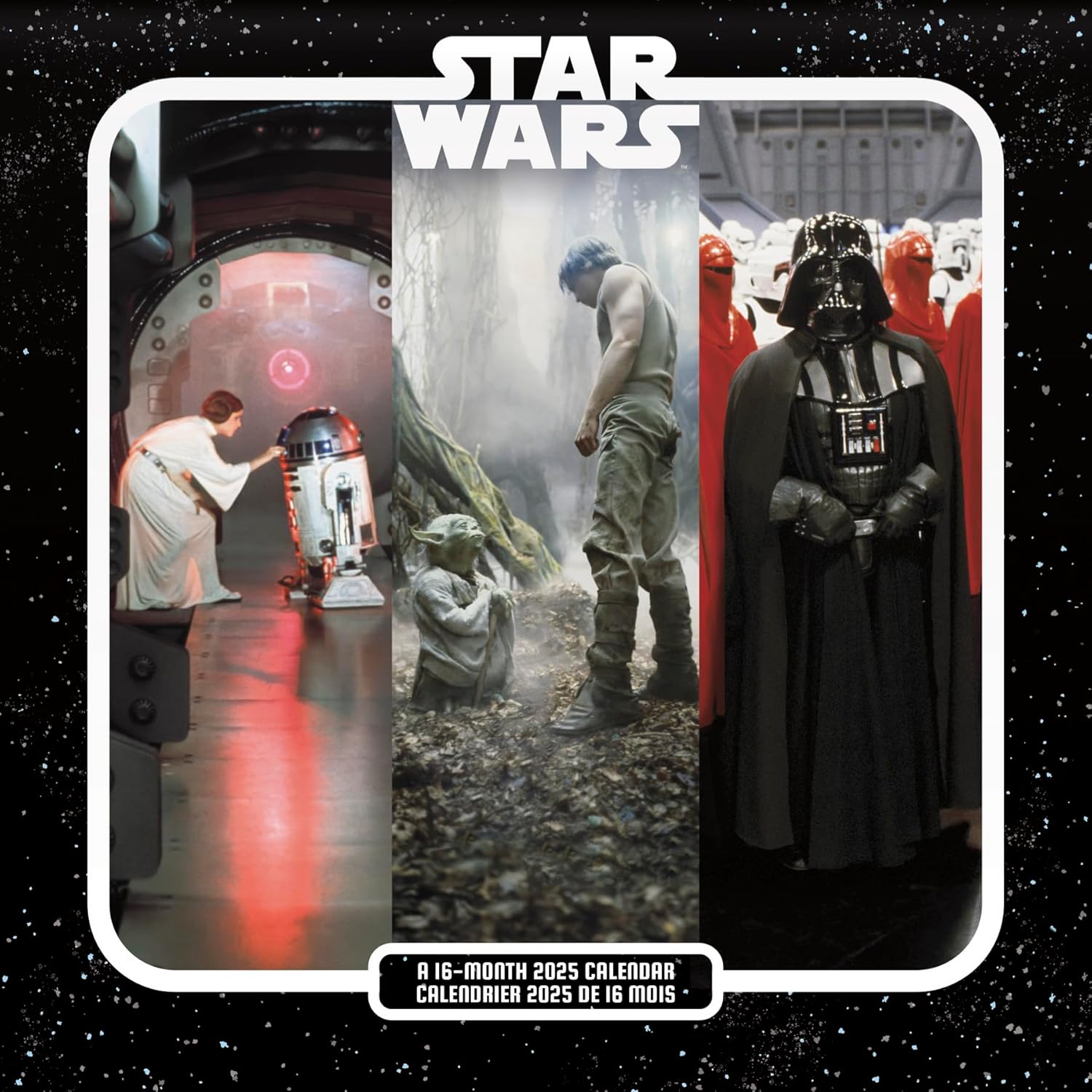 2025 Star Wars: Saga Wall Calendar (Bilingual French) (English and ...
