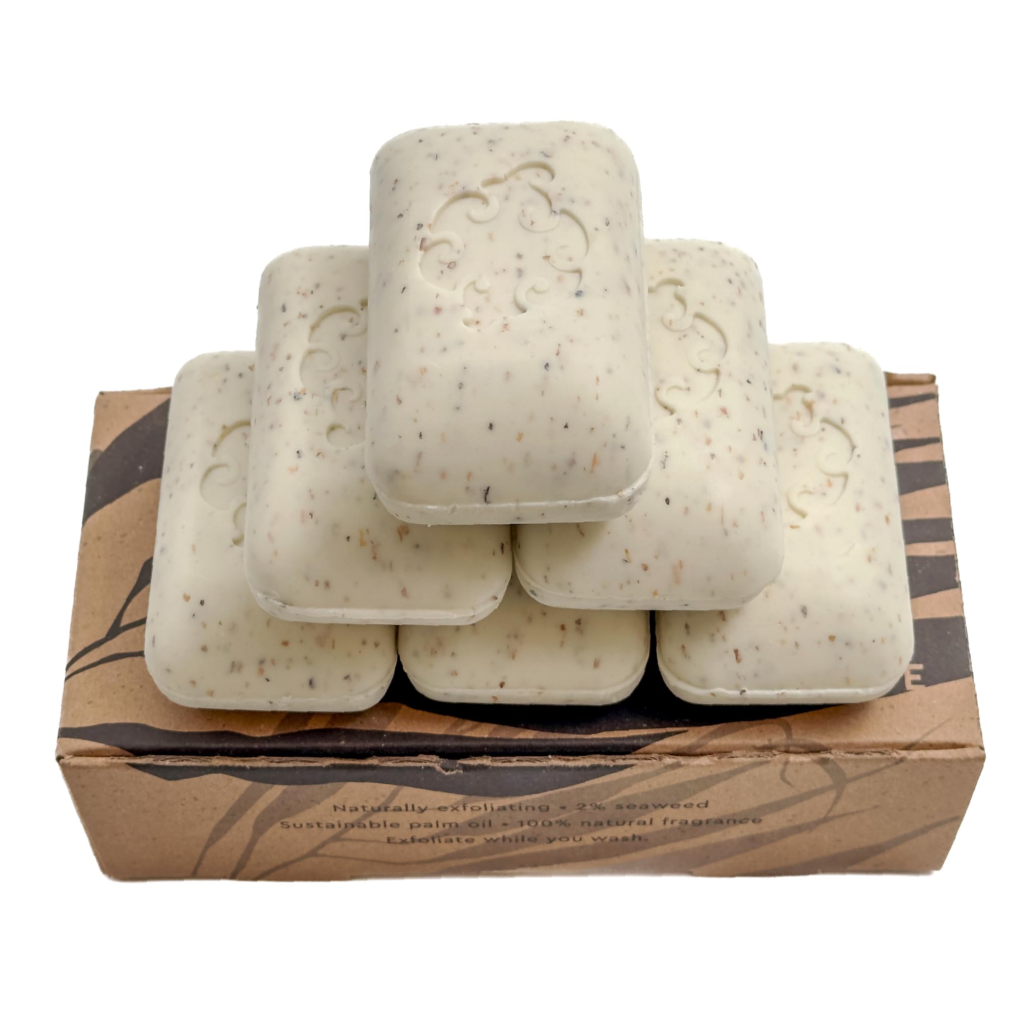 Amazon.com : Loofah Soap Bar 6 Pack - Minty Fresh Natural Fragrance ...