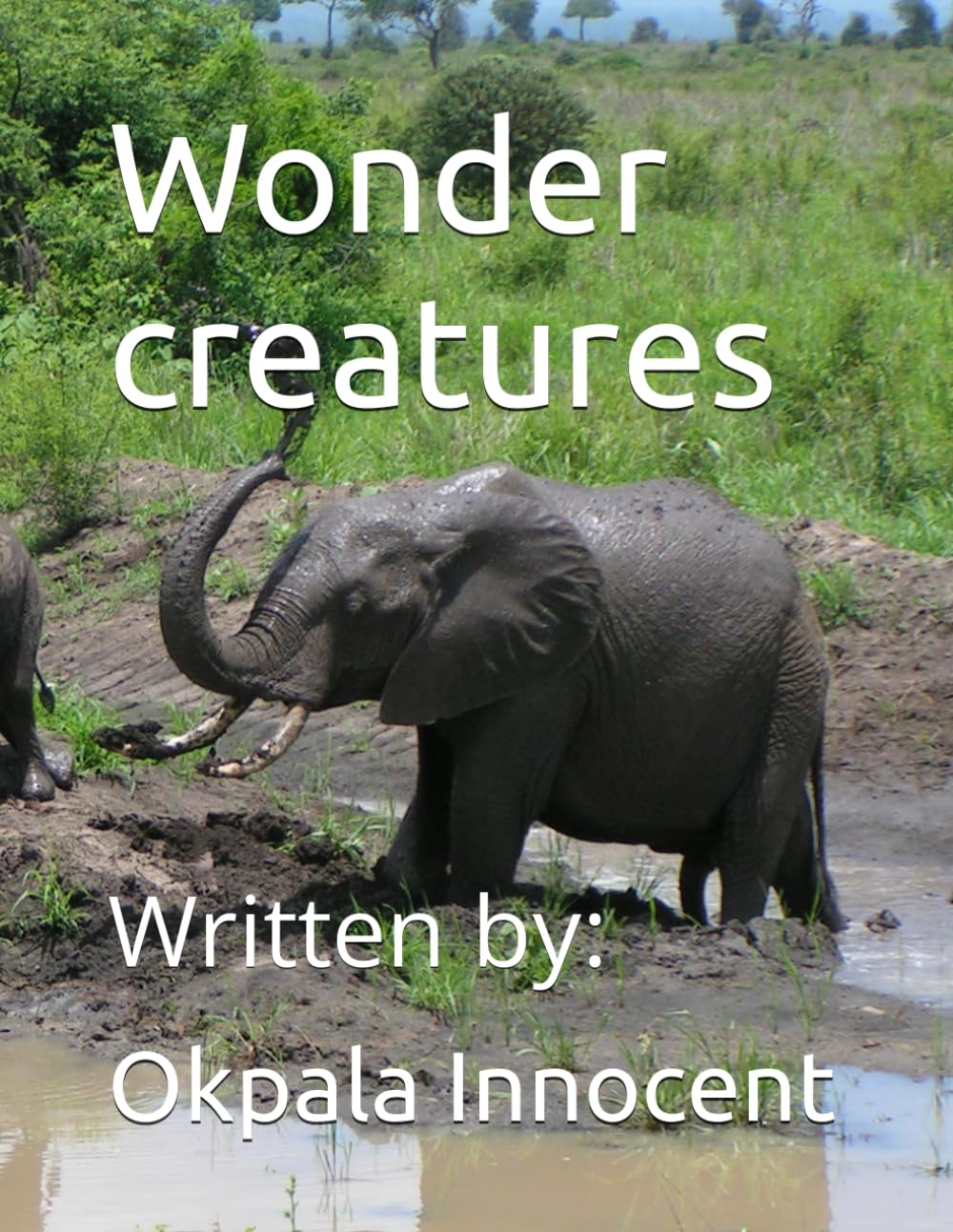 Amazon | Wonder creatures: About the animals | Innocent, Okpala Uche ...