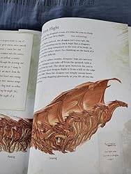 Amazon.com: Dungeons & Dragons The Practically Complete Guide to Dragons Illustrated Book ...