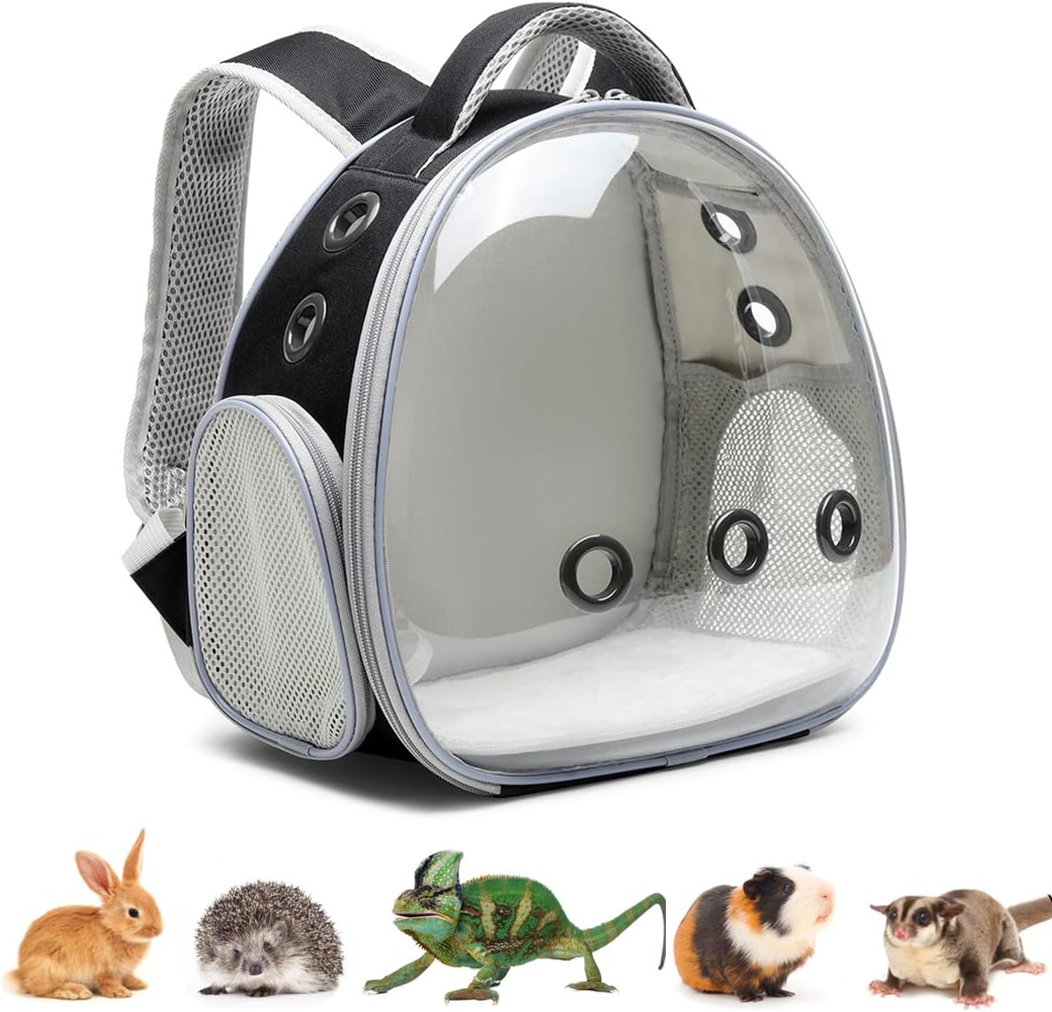 Bearded Dragon Lizard Backpack Carrier with Harness Nepal | Ubuy